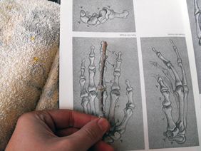DIY Skeleton Made From Sticks, String, Foam and Mache' : 5 Steps (with ...