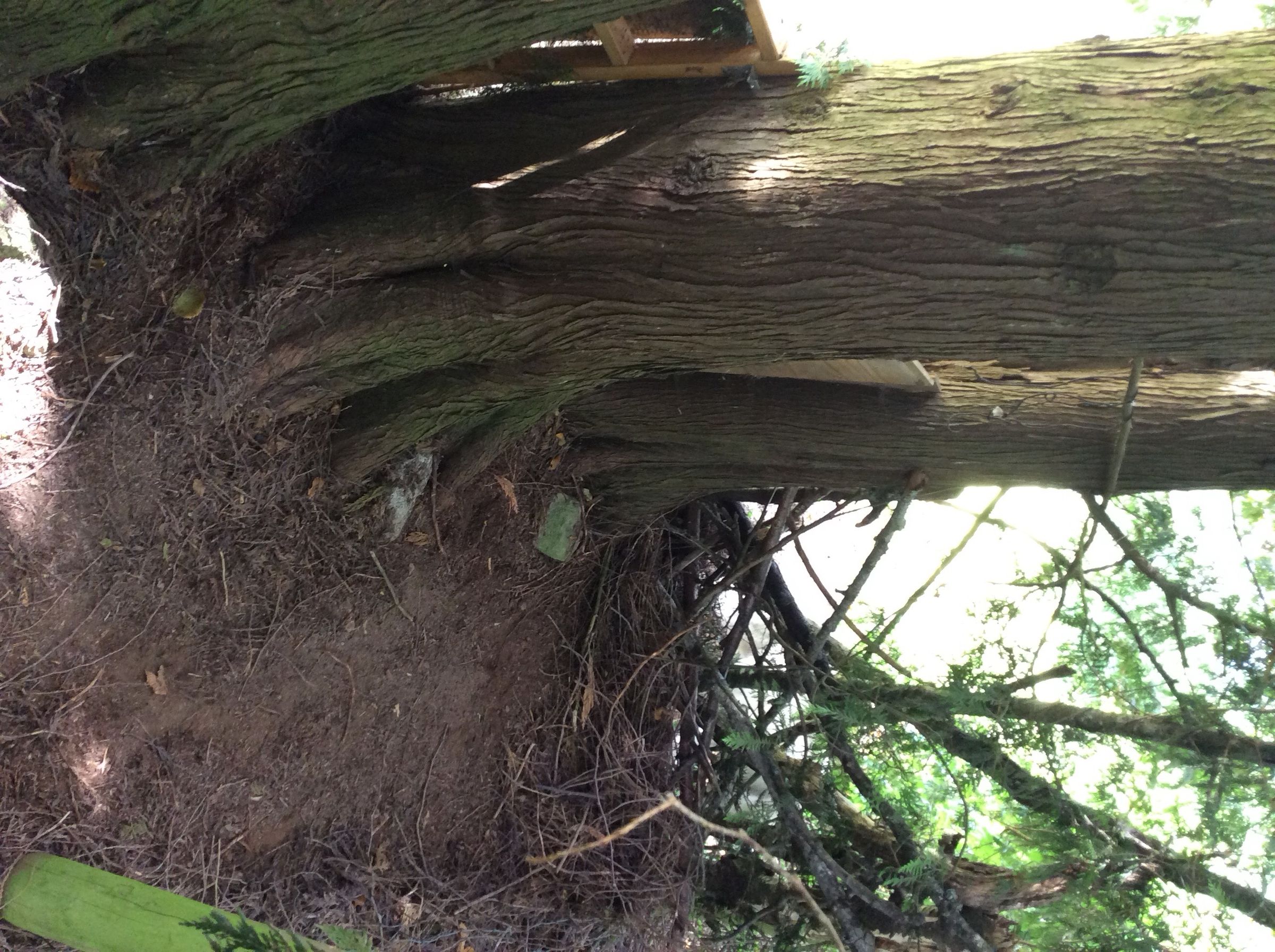 Multi Use Fort / Survival Shelter : 5 Steps - Instructables