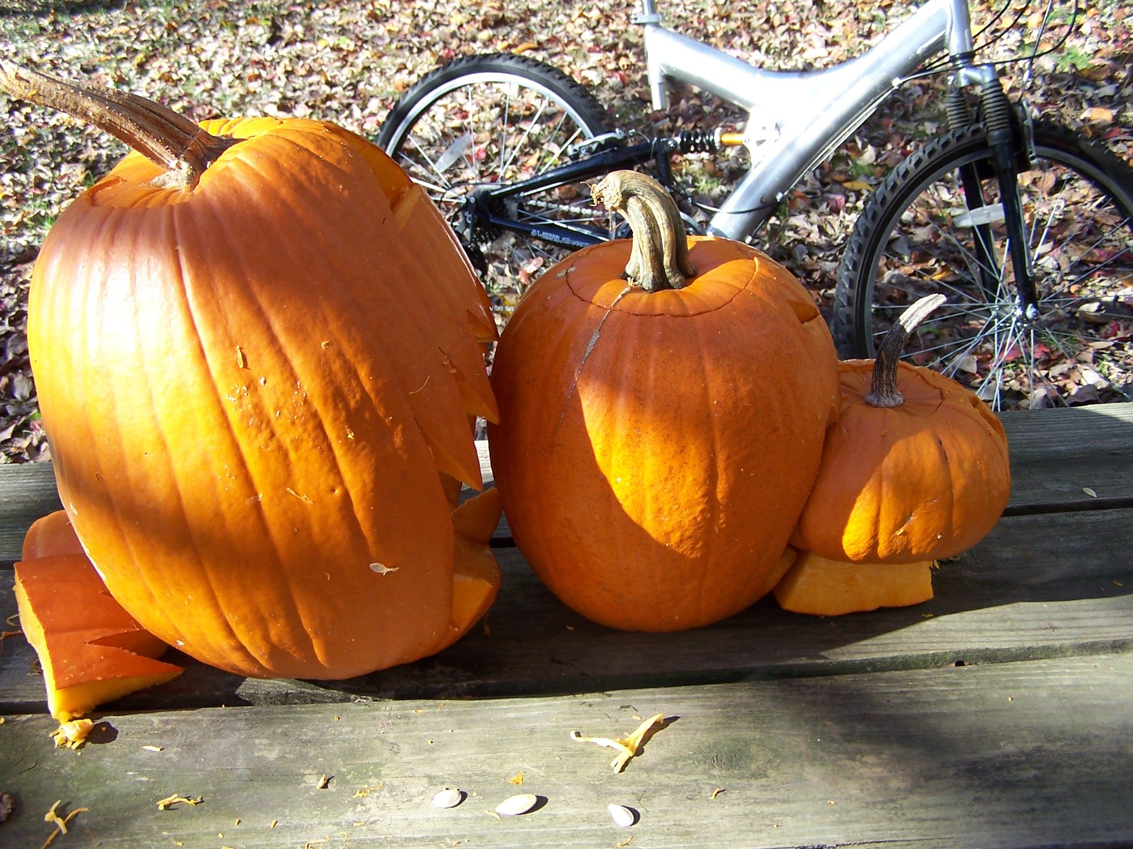 It's a Pumpkin Eat Pumpkin World... : 5 Steps - Instructables