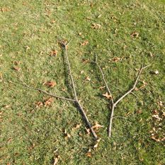 Branch Weaving : 5 Steps (with Pictures) - Instructables