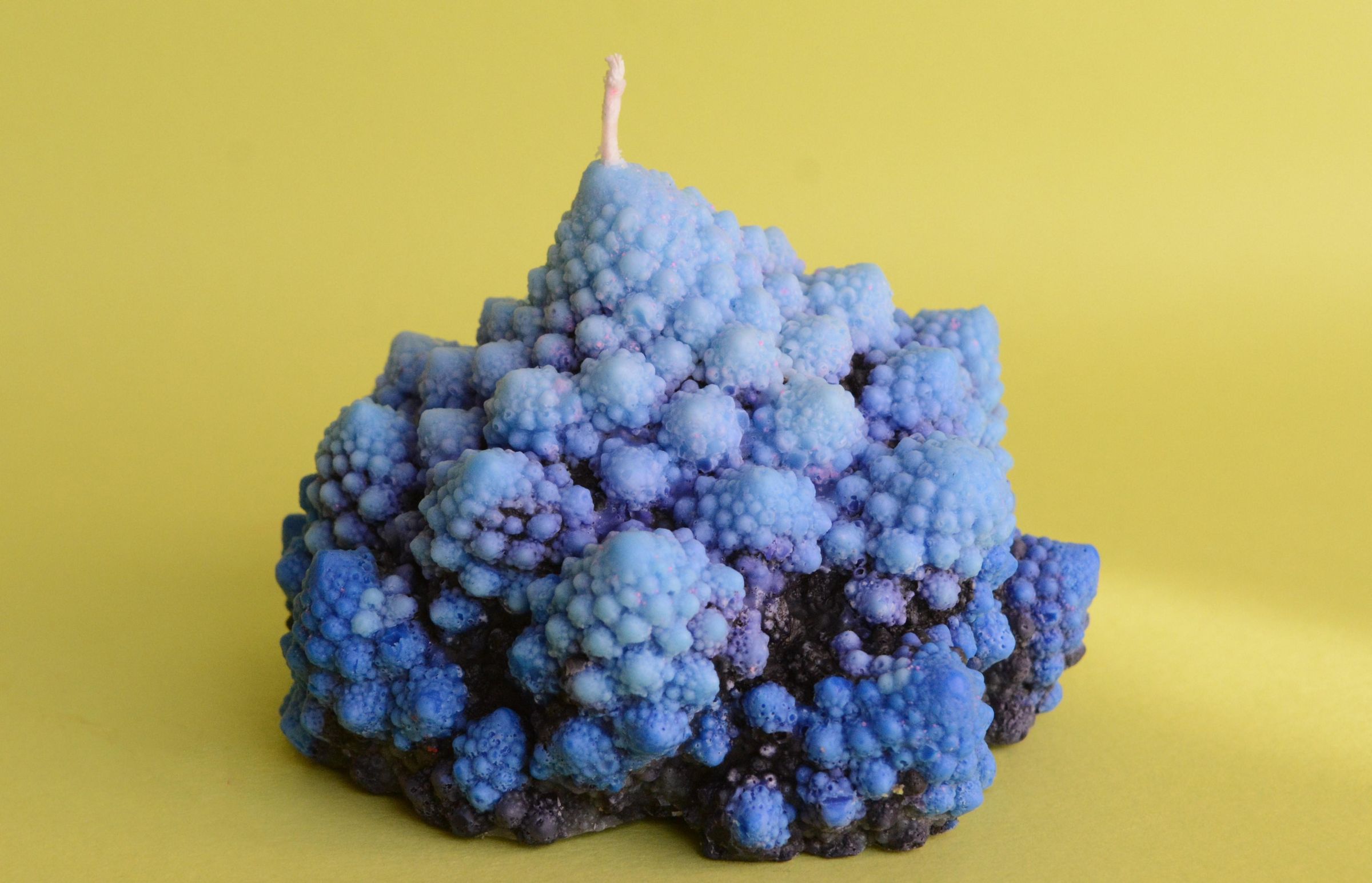 Turn Romanesco Broccoli Into a Candle : 17 Steps (with Pictures ...