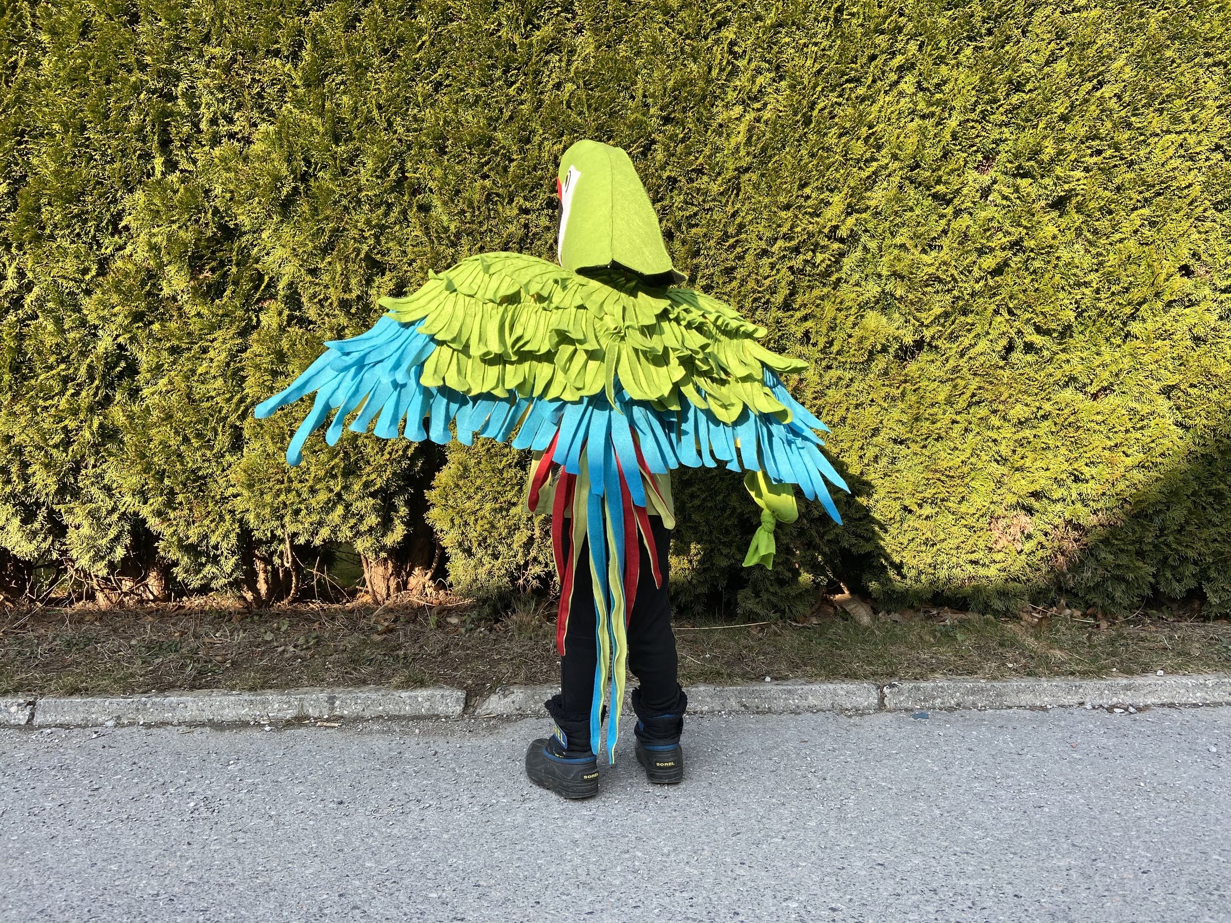 Parrot Mask and Wings : 11 Steps (with Pictures) - Instructables