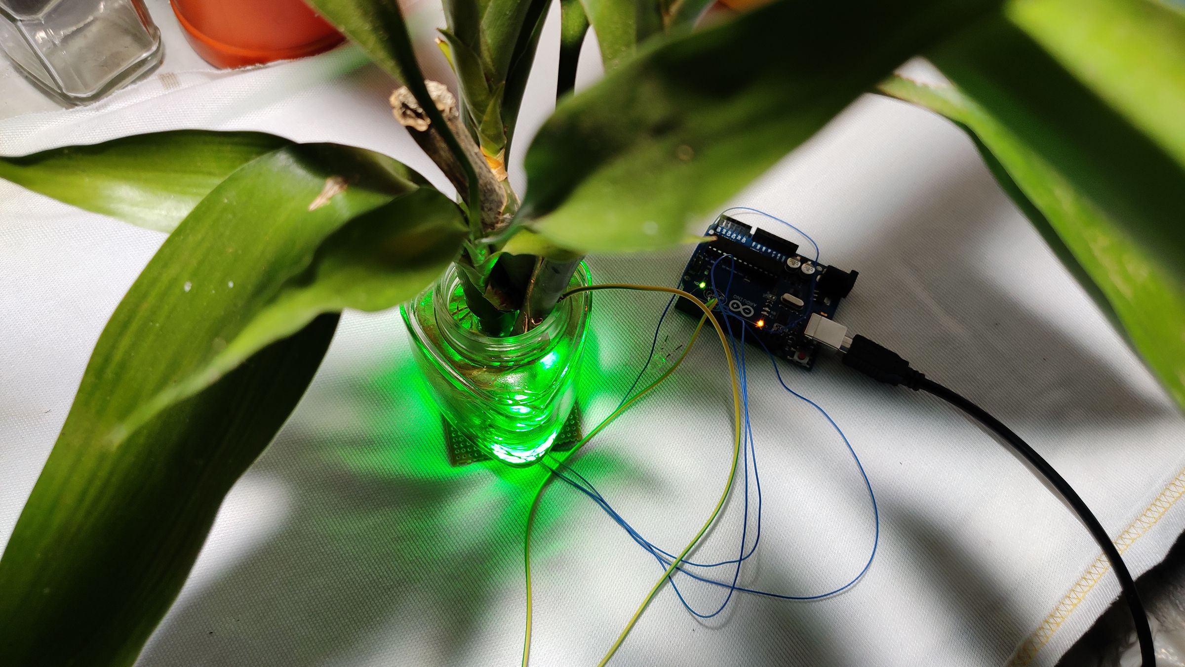 TOUCH SENSITIVE ARDUINO PLANT : 6 Steps - Instructables