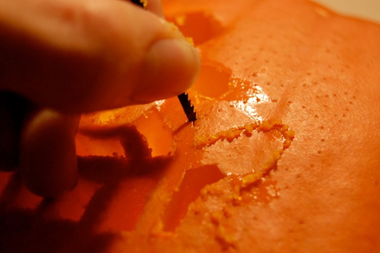 Precision Pumpkin Carving : 9 Steps (with Pictures) - Instructables
