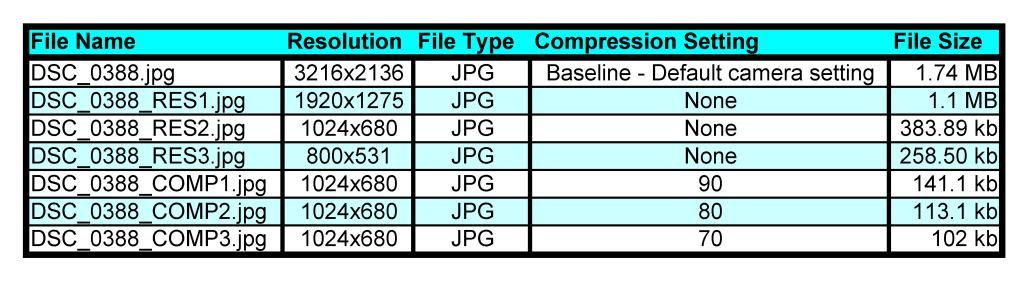 Shrink Pictures : 5 Steps - Instructables