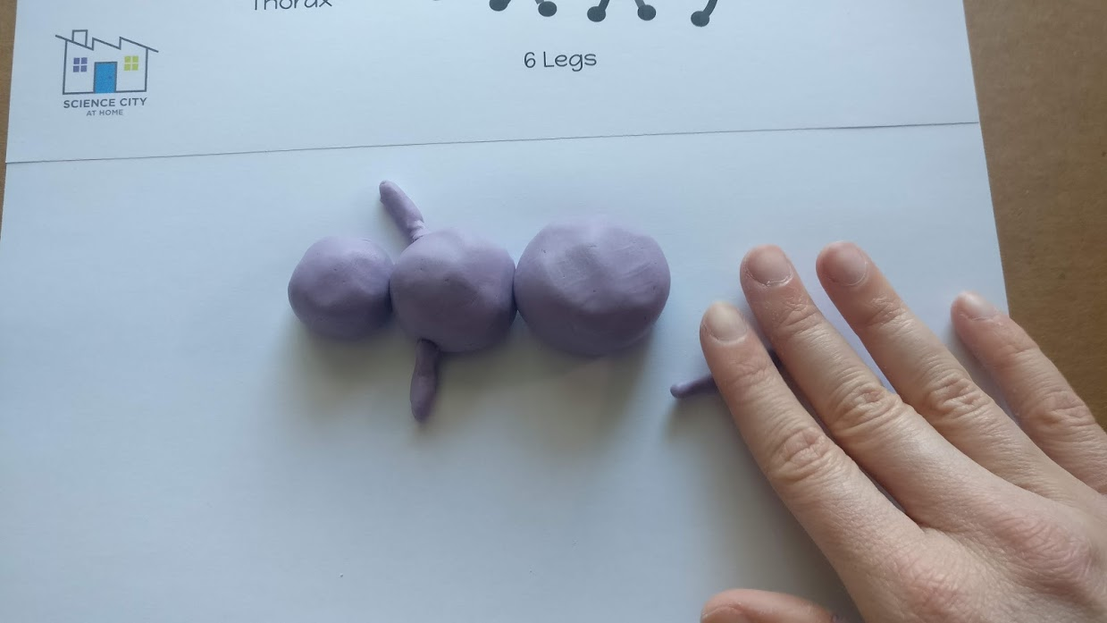 Build a Bug With Playdough! : 5 Steps - Instructables