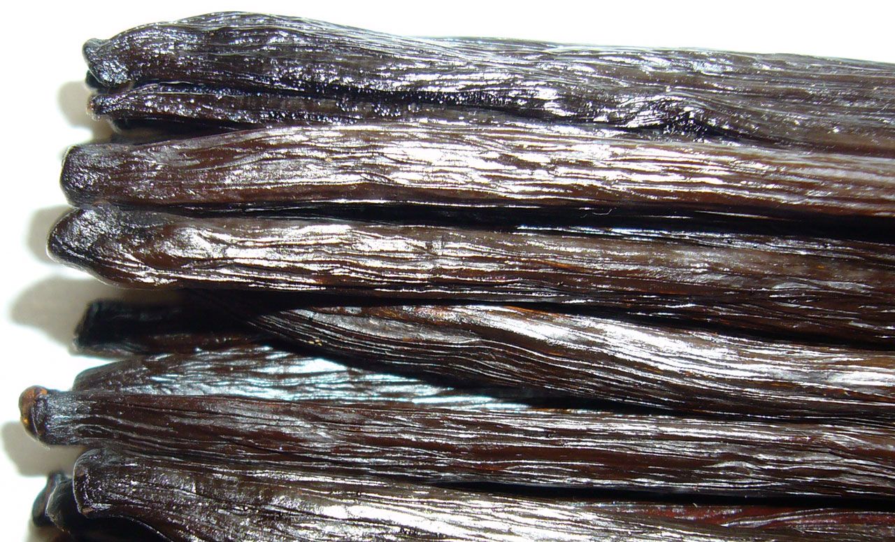 Make Vanilla Extract : 23 Steps (with Pictures) - Instructables