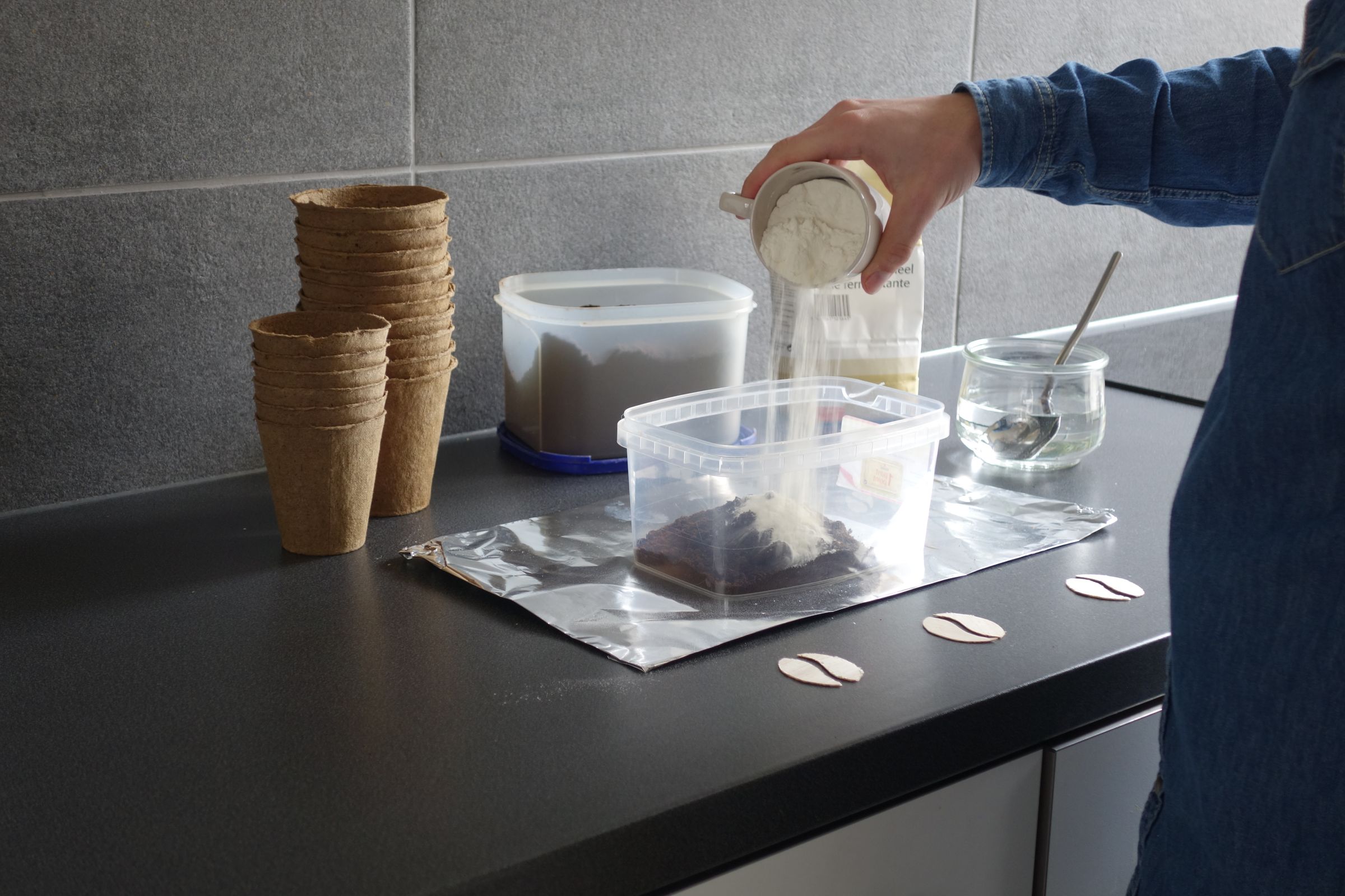 Biodegradable Flower Pots Out of Coffee Grounds! : 6 Steps (with ...