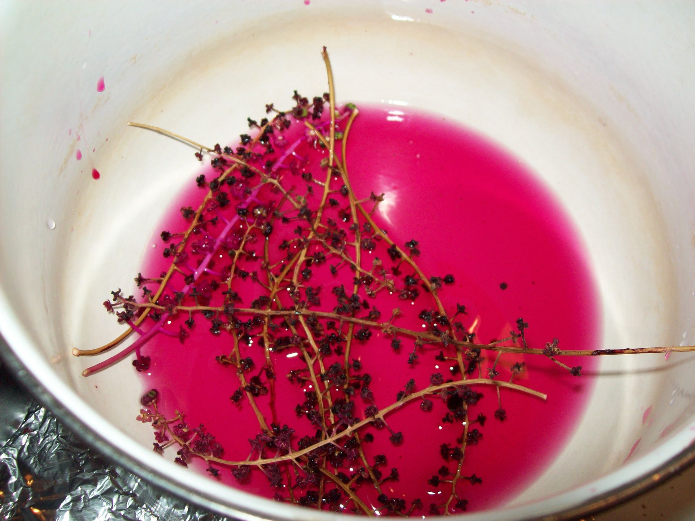 Natural Dye From Pokeweed : 6 Steps (with Pictures) - Instructables