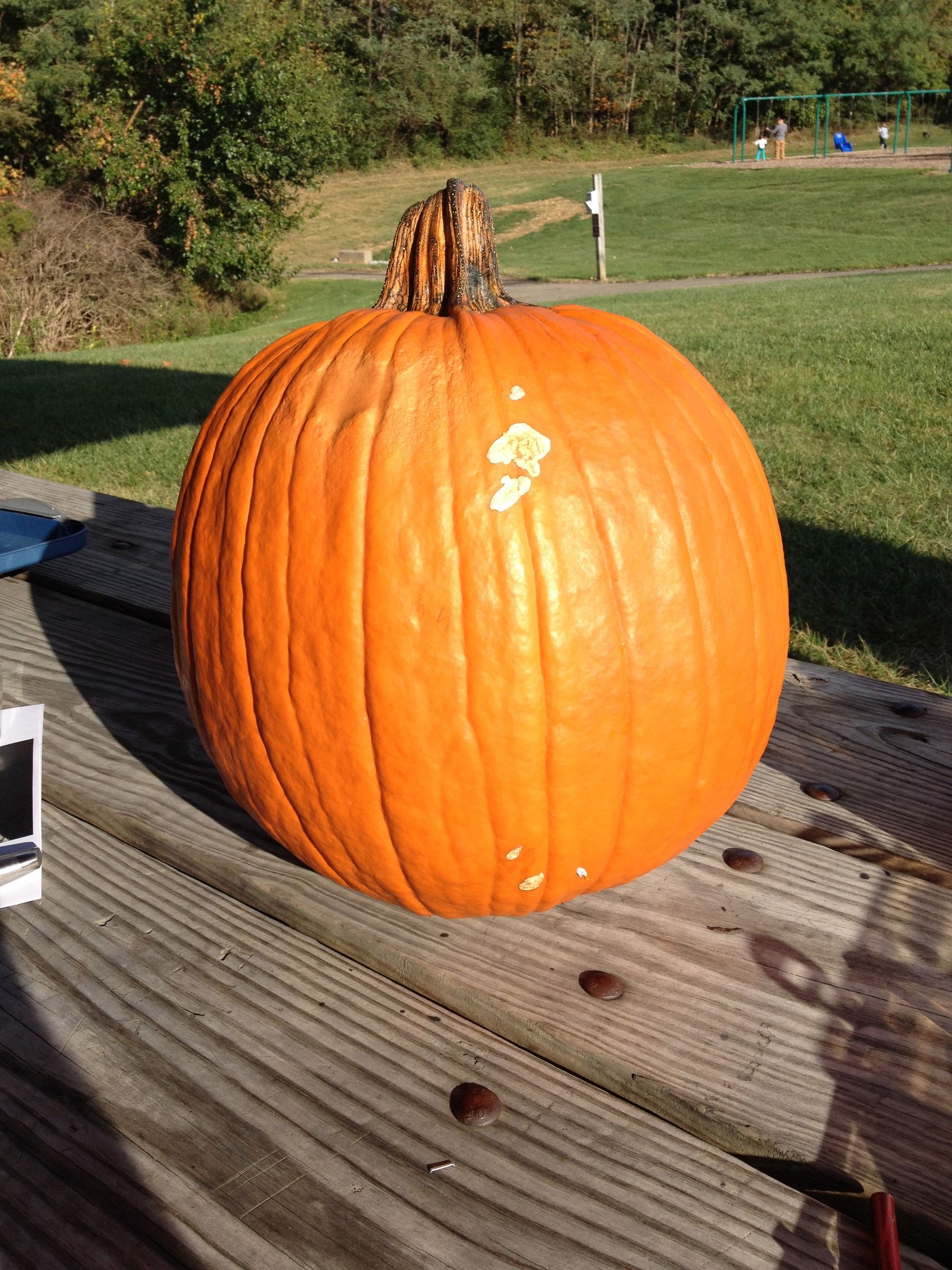 1 Hr. White Walker Pumpkin : 6 Steps - Instructables