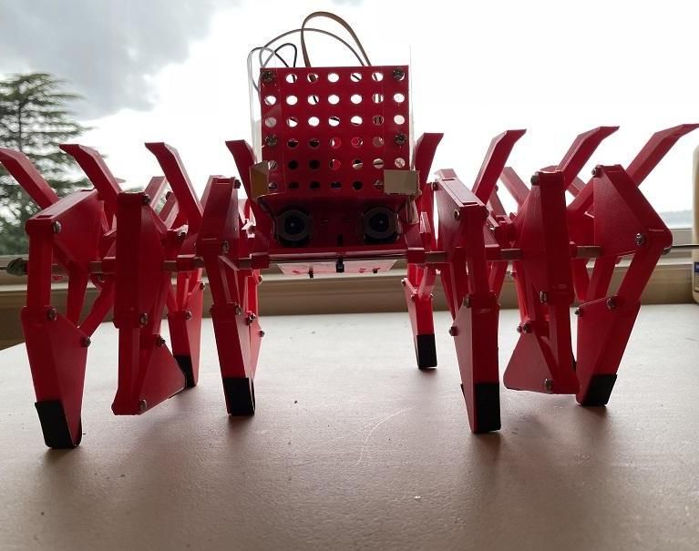 Remote Controlled Strandbeest : 14 Steps (with Pictures) - Instructables