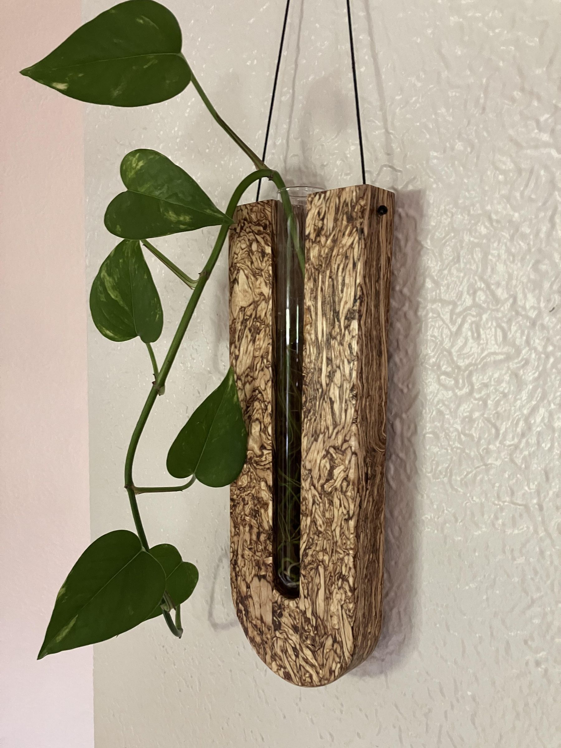 Hanging Test Tube Propagation Station | Single Stem Vase : 7 Steps ...