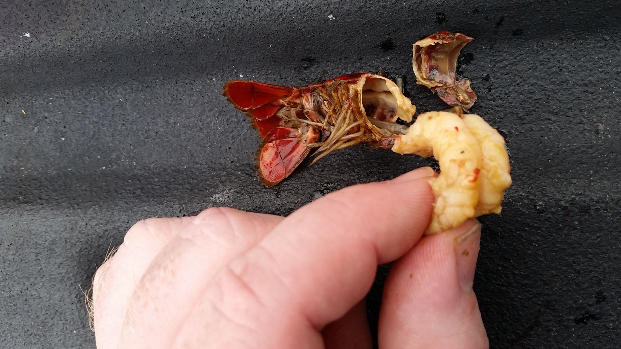 How to Peel Crawfish : 3 Steps (with Pictures) - Instructables