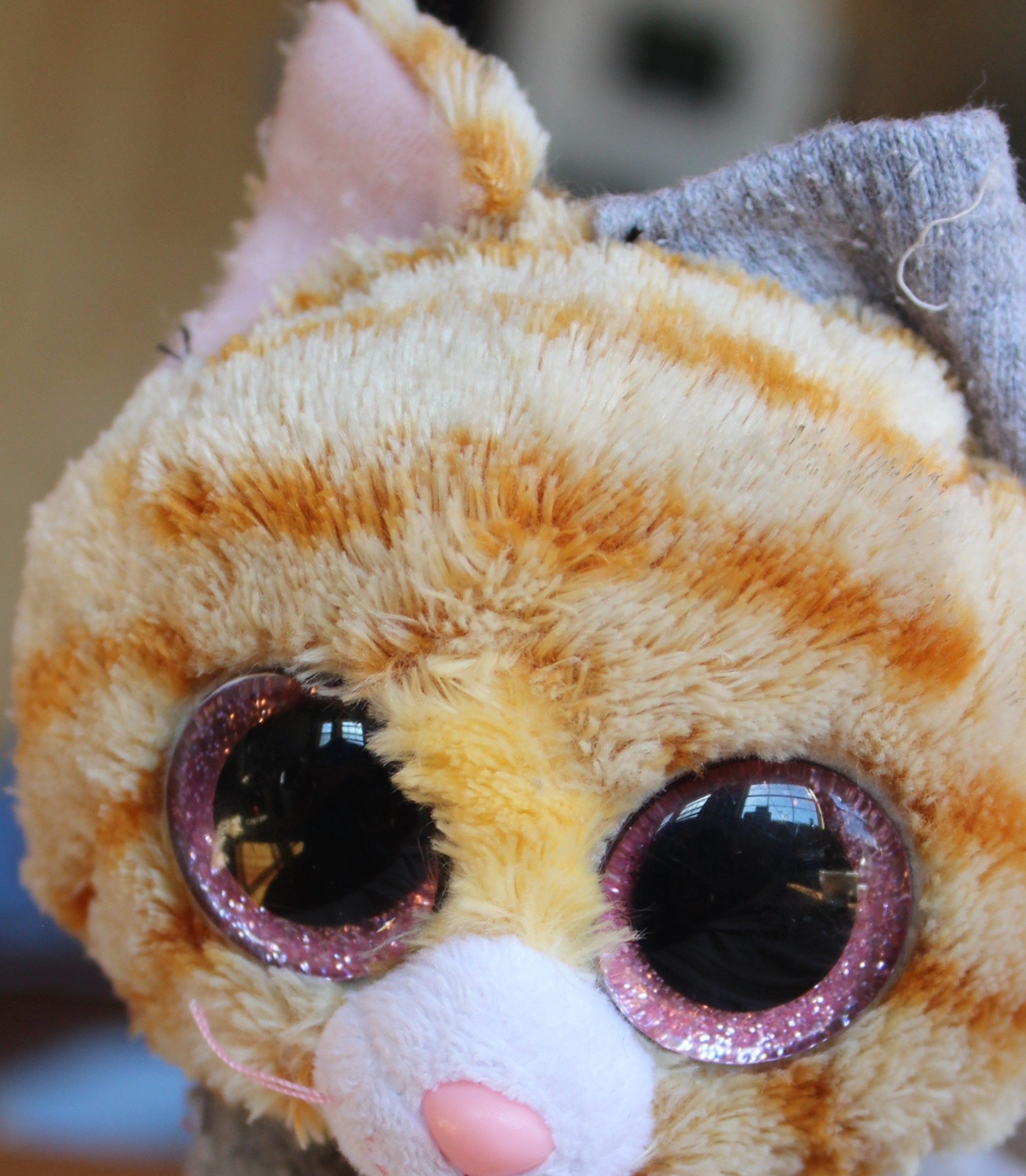How to Make a Franken-Kitty : 4 Steps (with Pictures) - Instructables