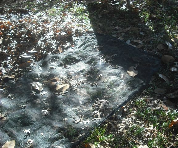 Easy Leaf Grab and Mulch - Instructables