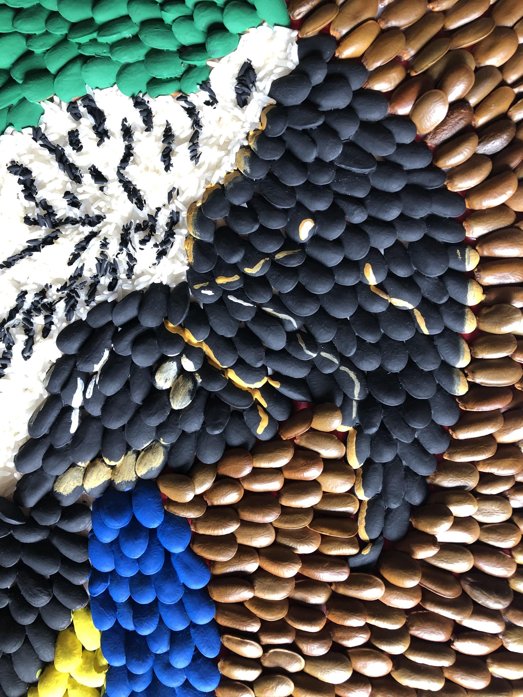 Macaw With Soursop Seeds, Rice and Mango. : 12 Steps (with Pictures ...