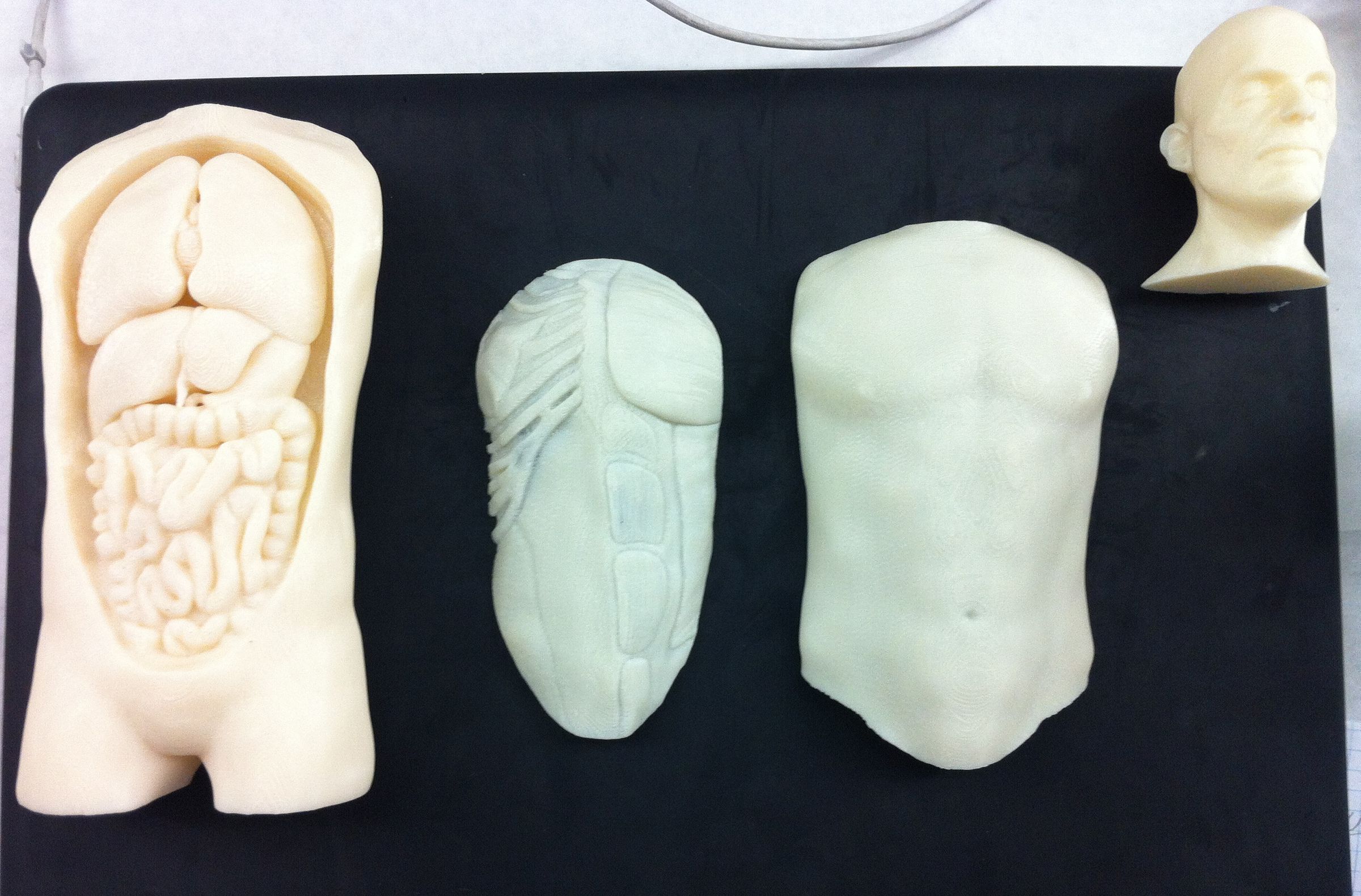 Anatomy Observation Model - Instructables