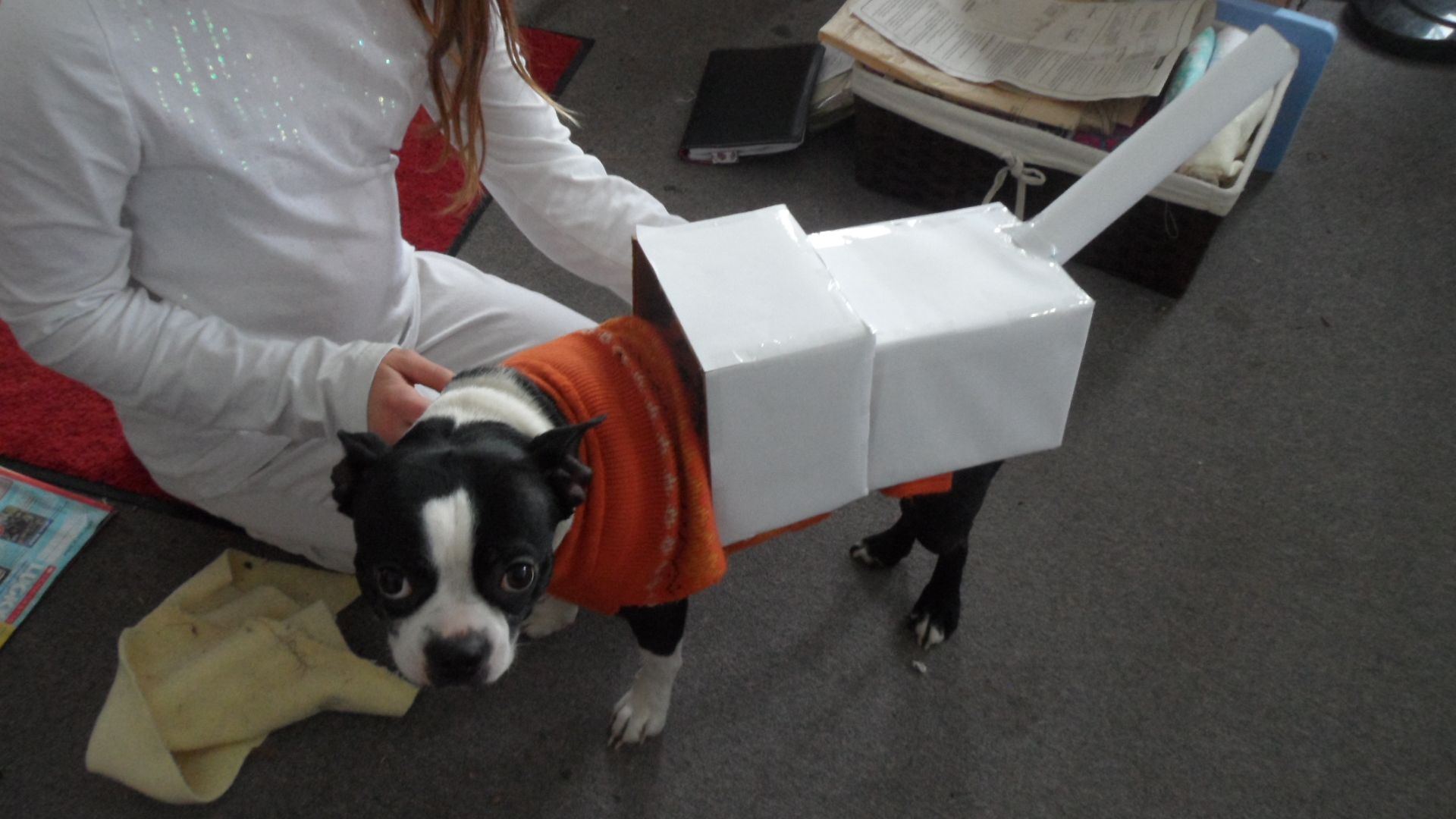 How to Make a Minecraft Wolf Dog Costume : 7 Steps - Instructables
