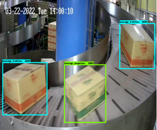 Edge AI: Inference of Tensorflow Mobilenet SSD Model on BrainyPi : 4 Steps - Instructables