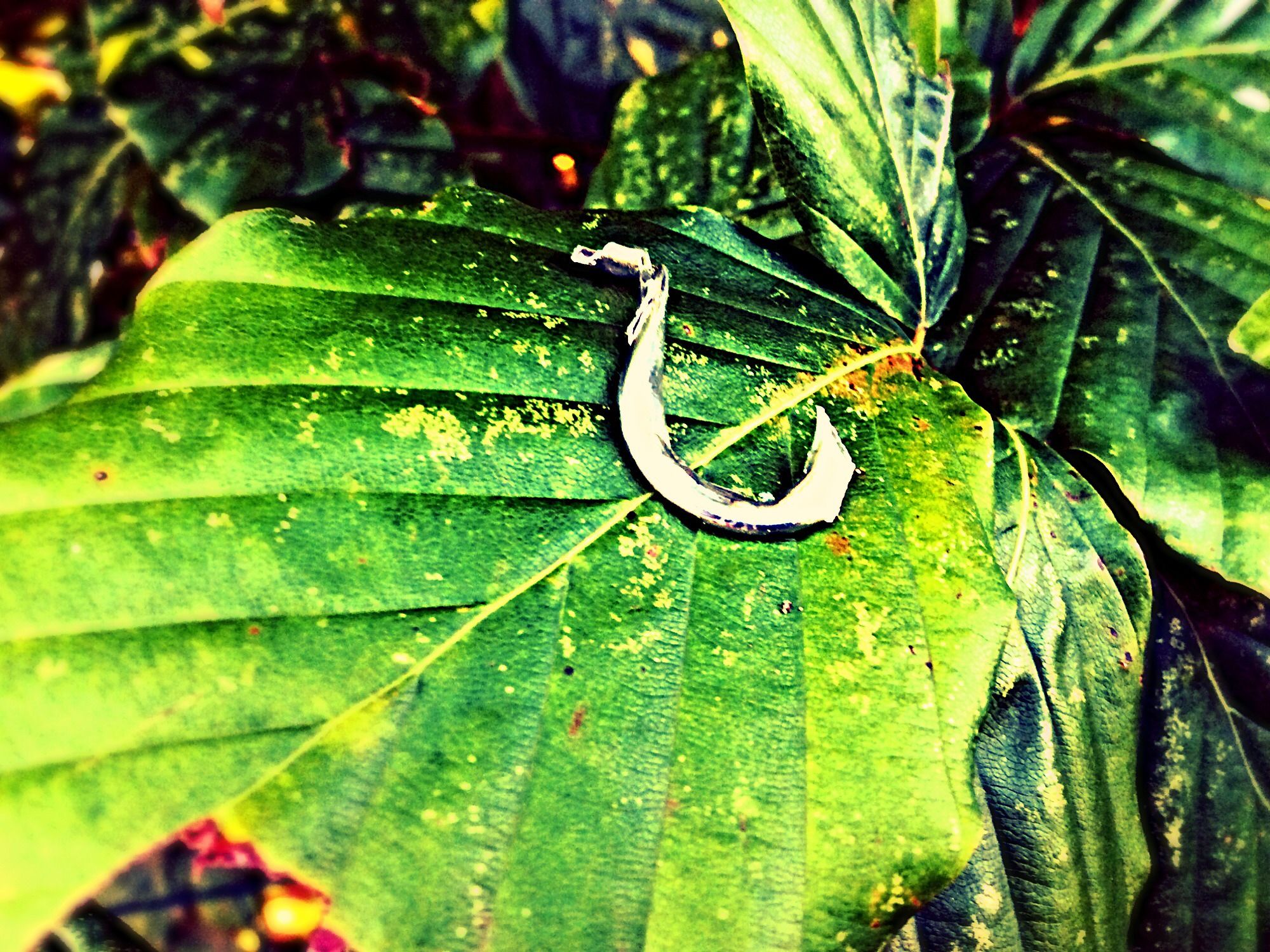 Fishing Hook for Survivalkit - Pop Tab : 5 Steps - Instructables