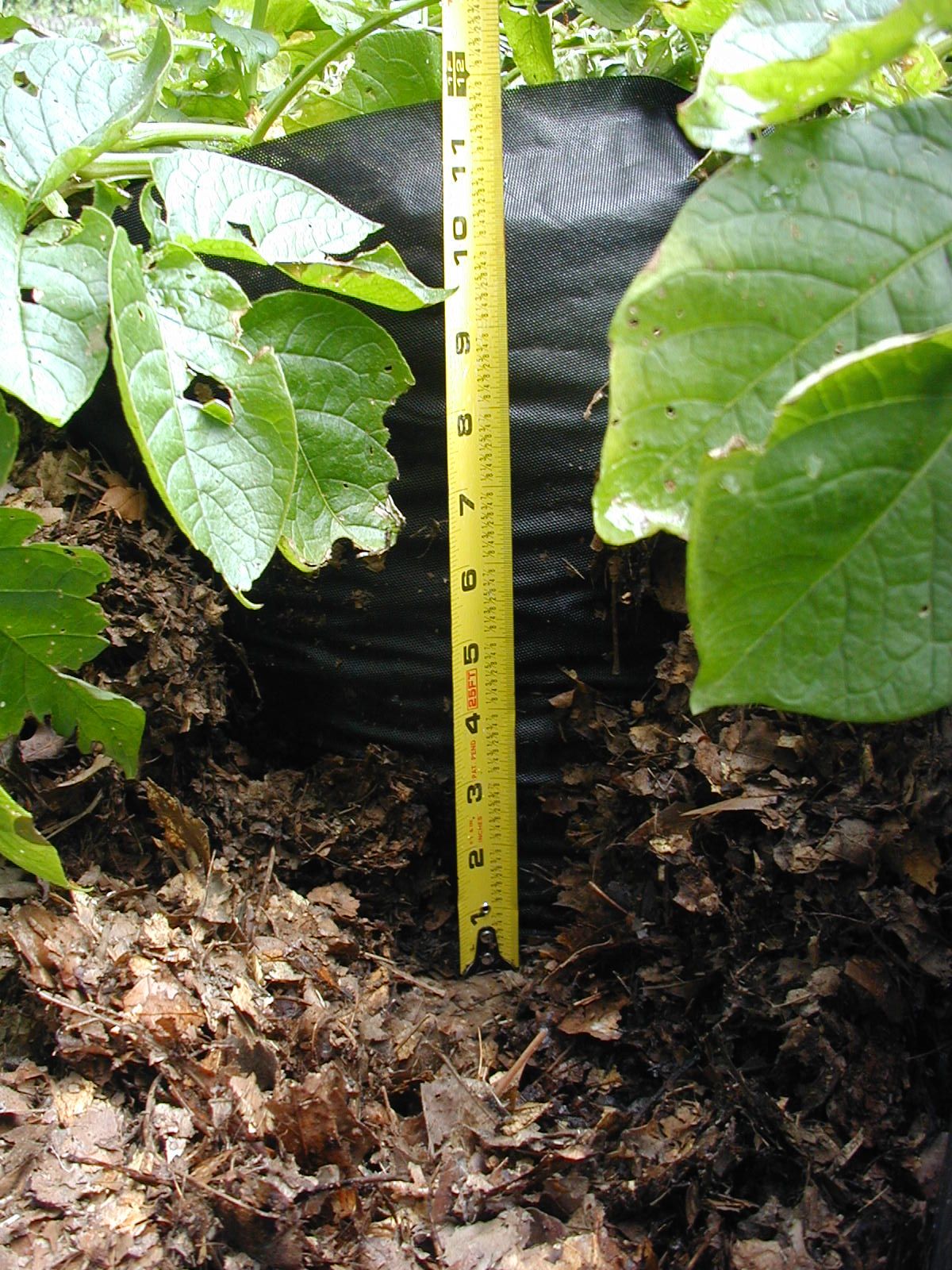 Tater Totes: Potato Grow Bags : 7 Steps (with Pictures) - Instructables