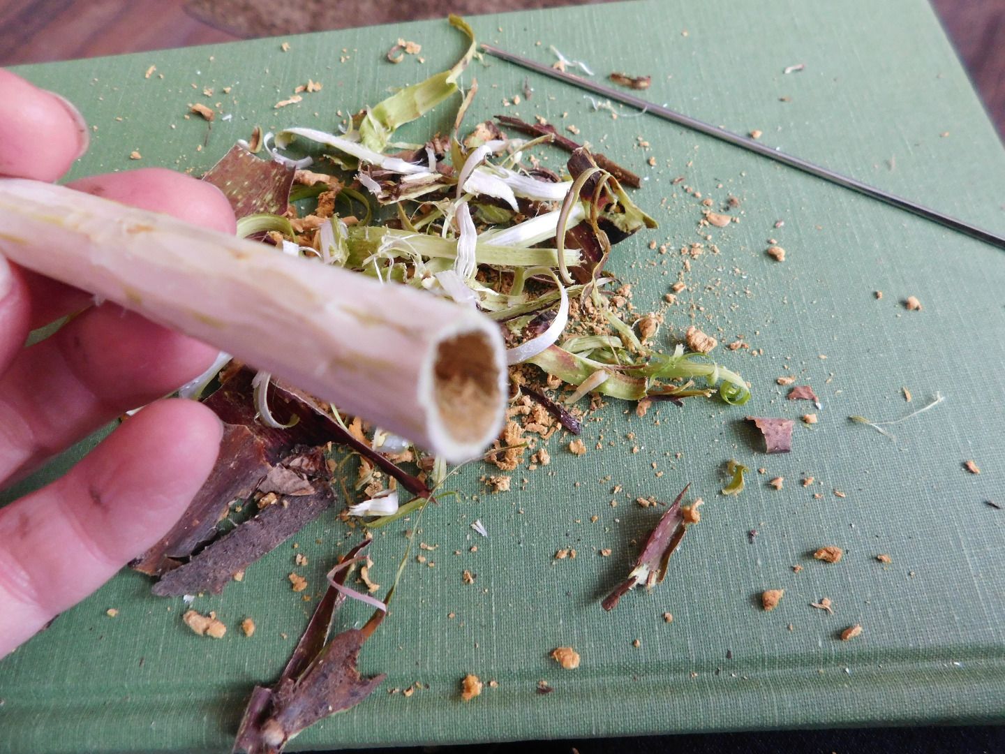How to Make a Spile(for Collecting Sap) : 6 Steps (with Pictures ...