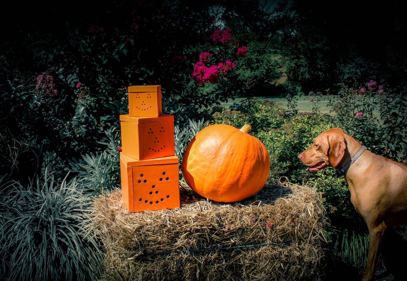 Stackable Wood Pumpkins : 18 Steps (with Pictures) - Instructables