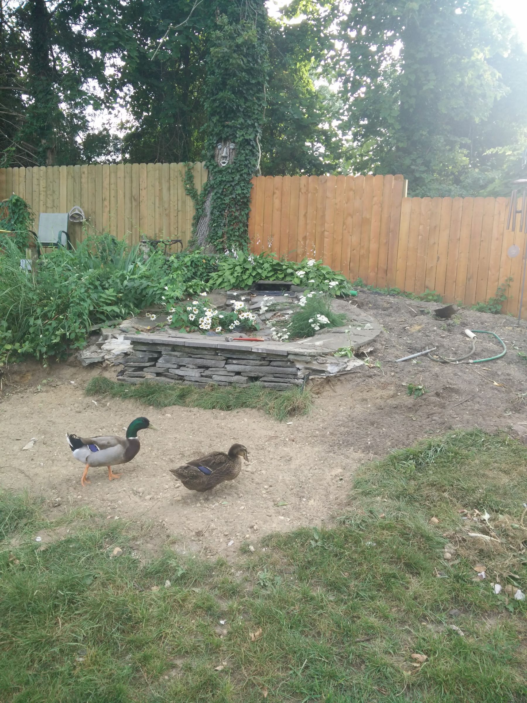 Upgrading My Old Pond : 42 Steps - Instructables