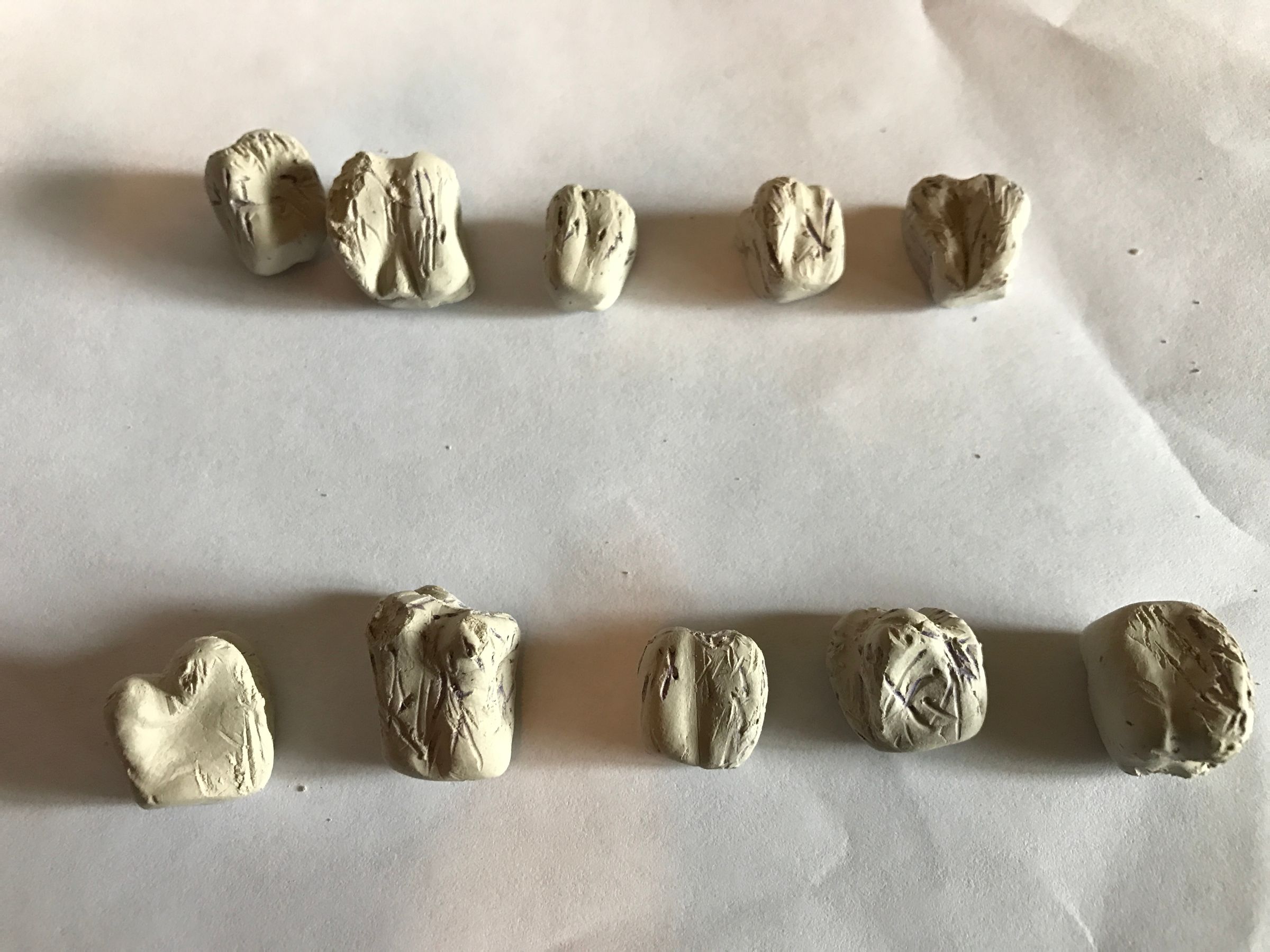 How to Clone a Cow Skull : 14 Steps (with Pictures) - Instructables