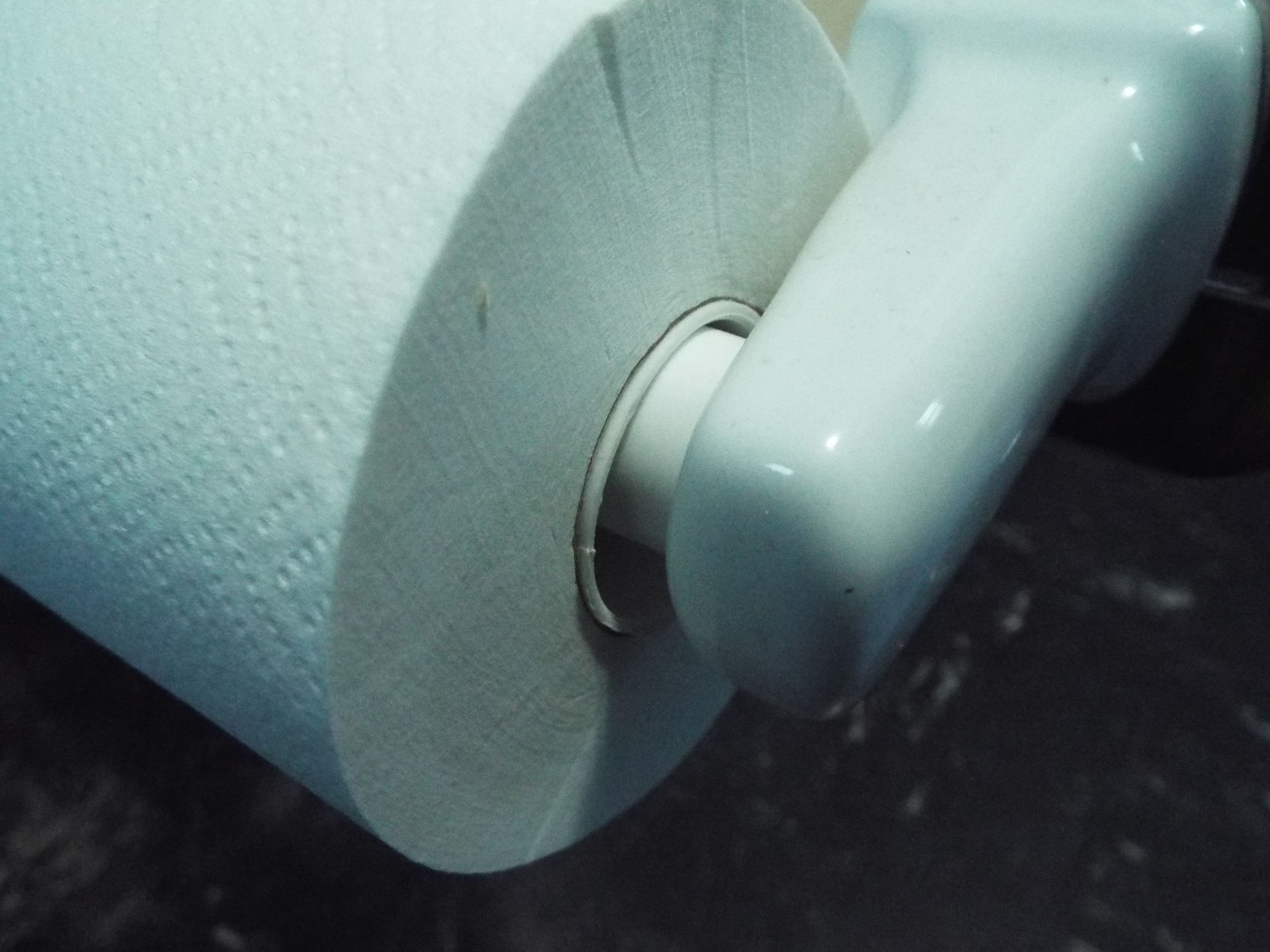 Toilet Paper Core Protector and EZ-Roller : 8 Steps - Instructables