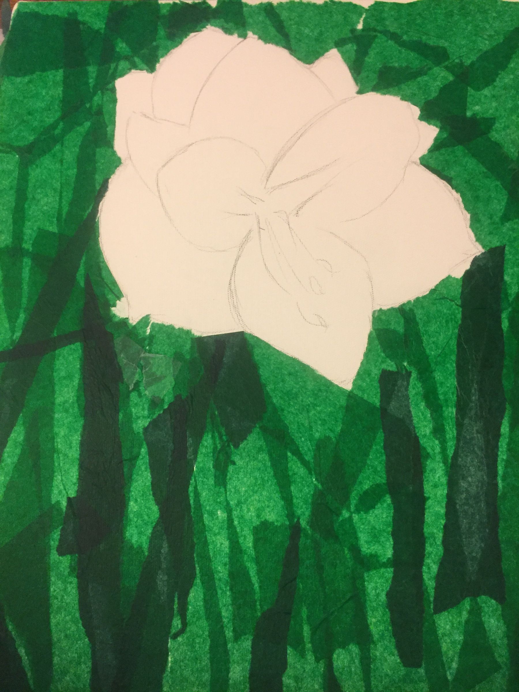 Tissue Paper and Glue Collage : 5 Steps (with Pictures) - Instructables