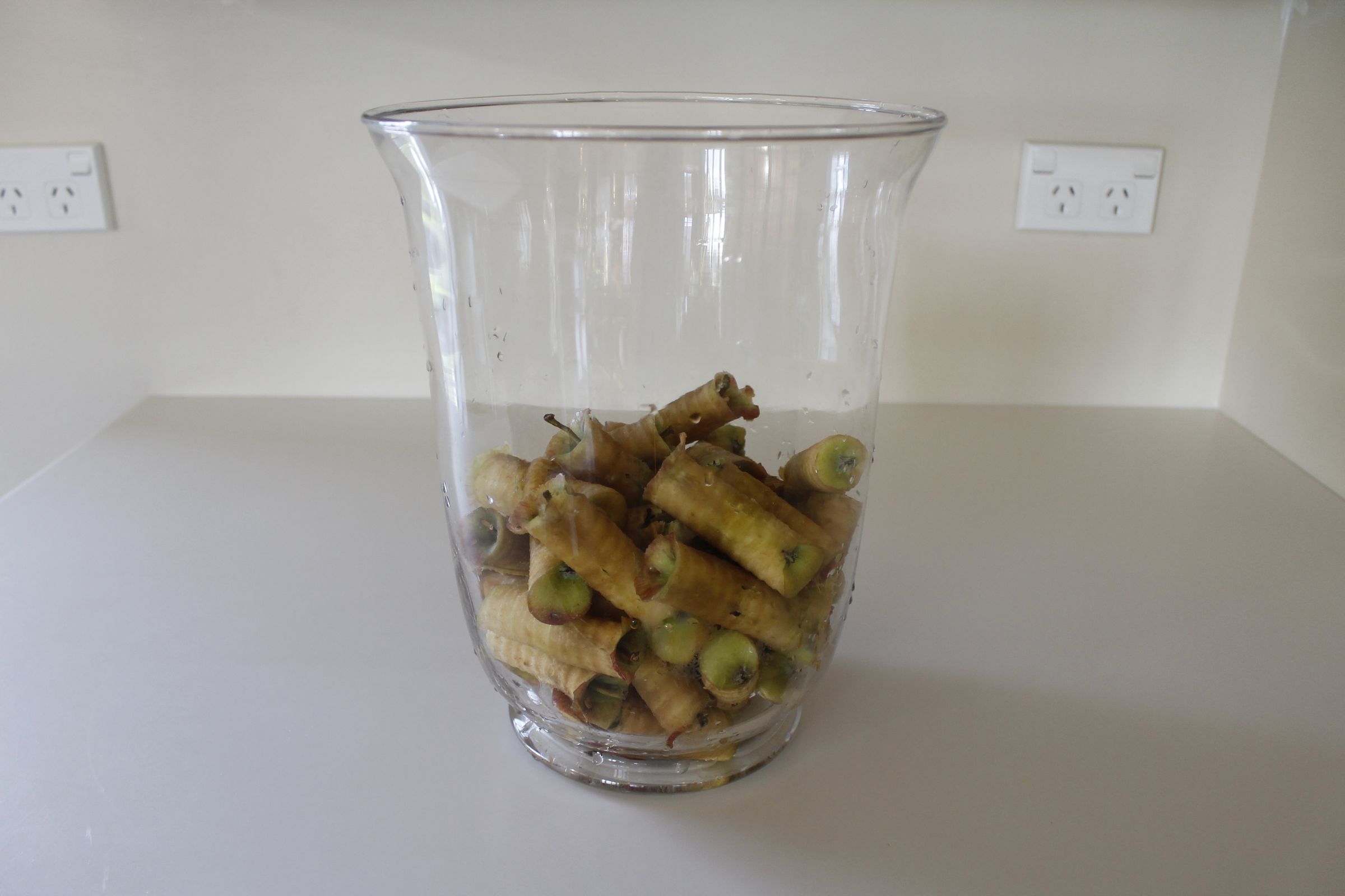 Home Made Apple Core Wine : 9 Steps (with Pictures) - Instructables