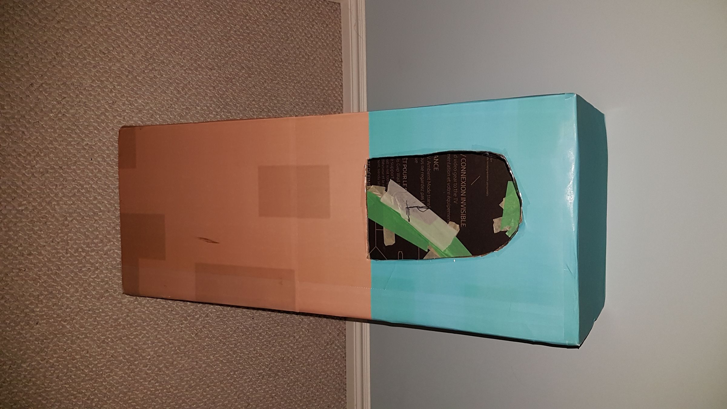 Minecraft Steve Cardboard Box Costume DIY : 12 Steps - Instructables