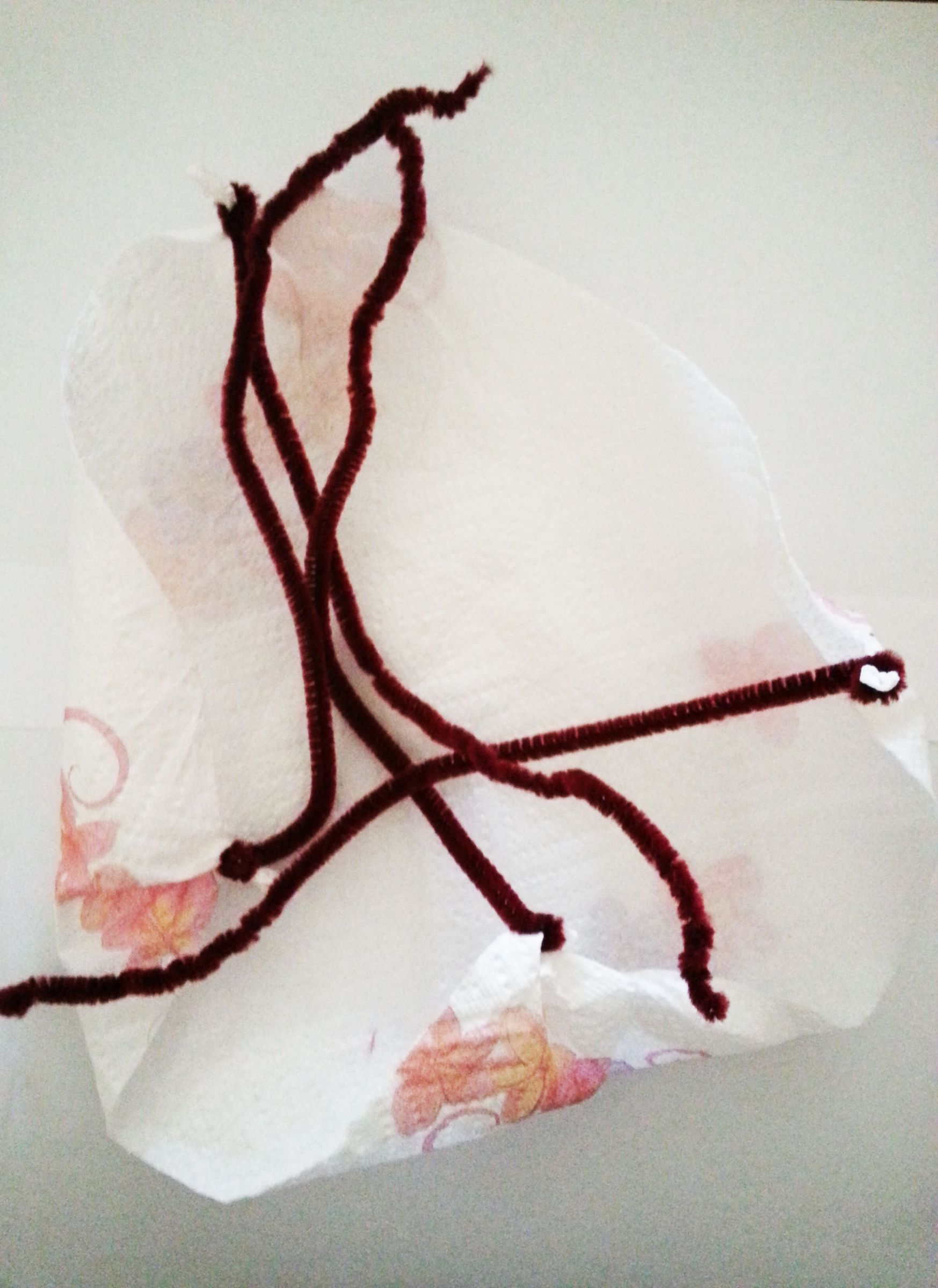 Egg Protector : 7 Steps - Instructables