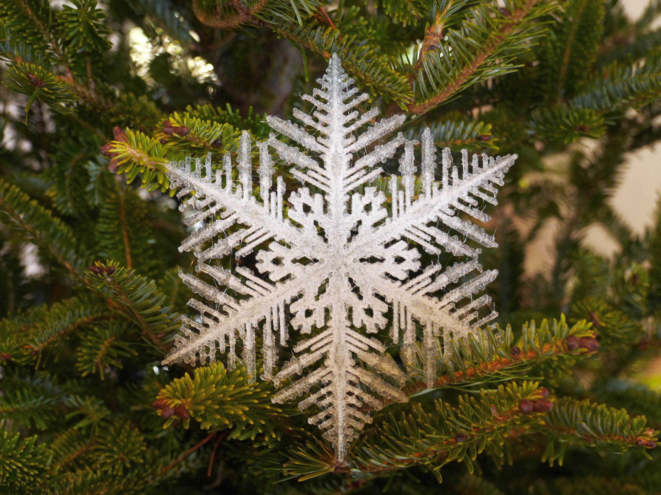 3D Printed Simulated Snowflakes : 4 Steps - Instructables