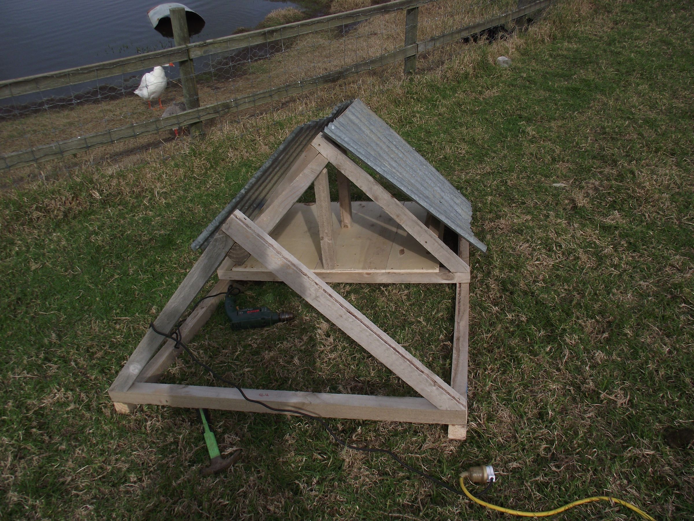 Chicken Accommodation Available for a Handsome, Single Young Man! : 9 ...