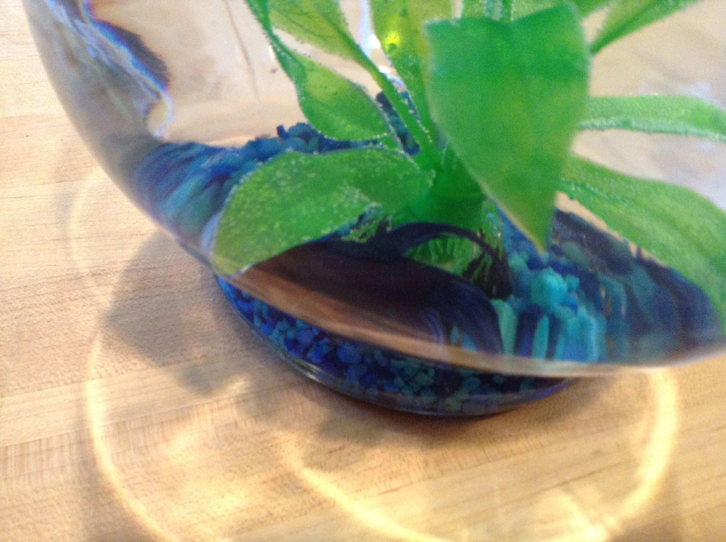 Fish Soccer Goals : 6 Steps - Instructables