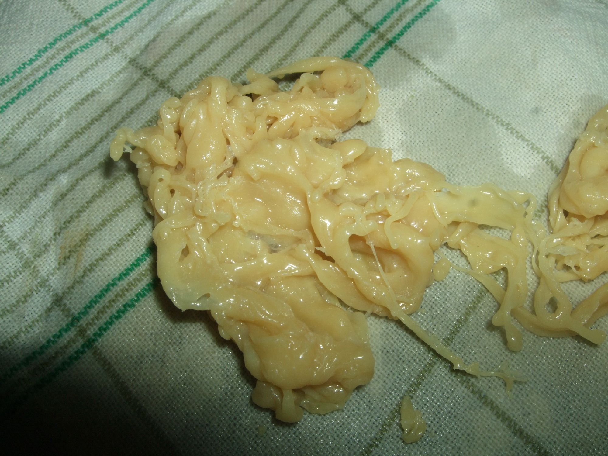 How to Resinate (clean Tree Resin) : 11 Steps - Instructables