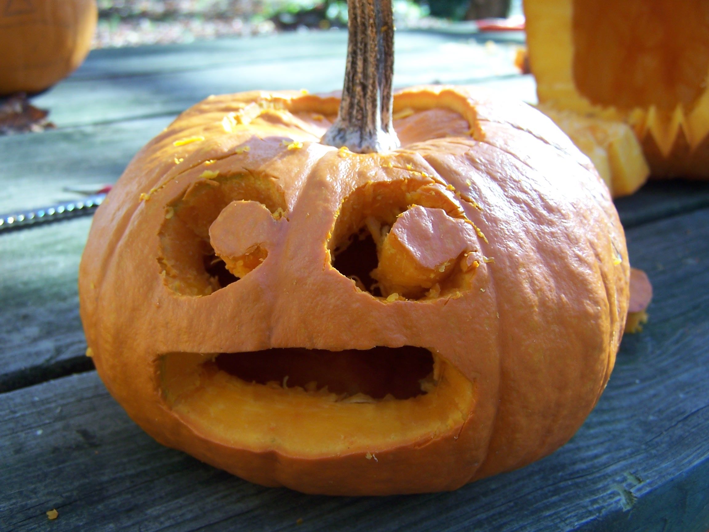 It's a Pumpkin Eat Pumpkin World... : 5 Steps - Instructables