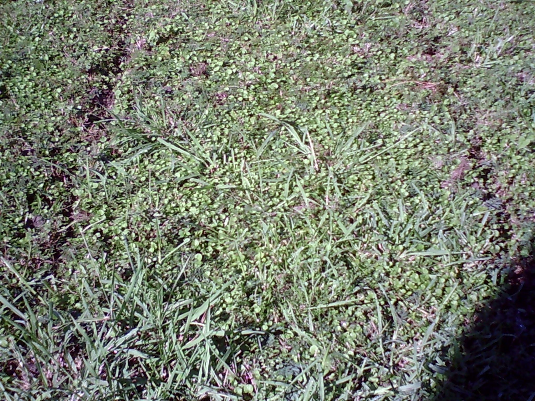 Earth Battery. : 6 Steps - Instructables