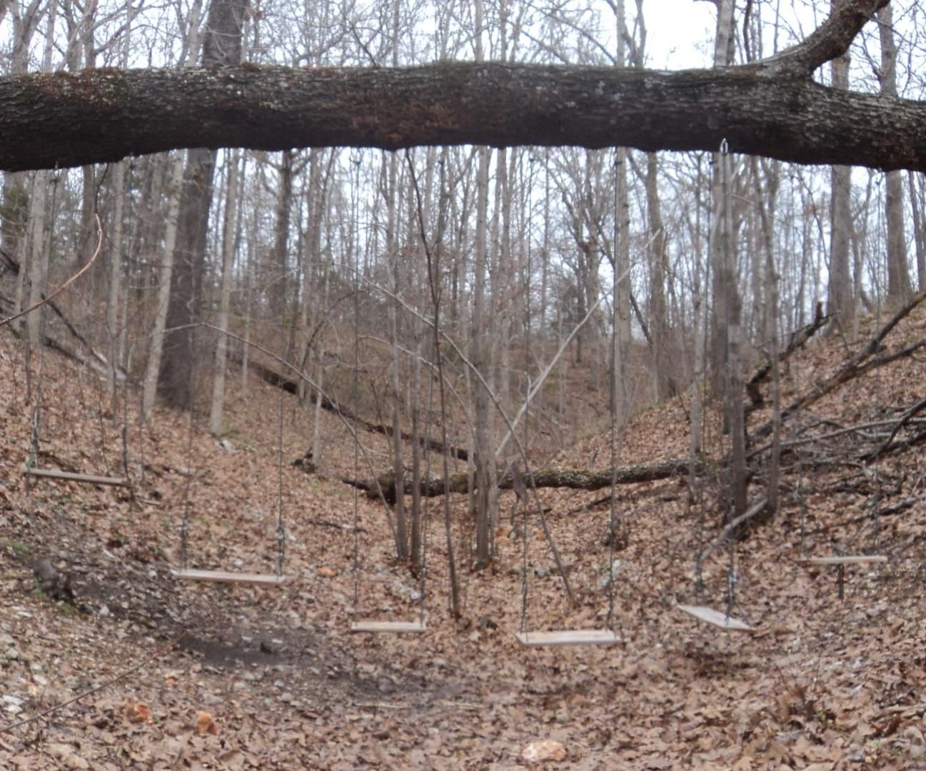 Ozark Fallen Tree Swing Set : 5 Steps - Instructables