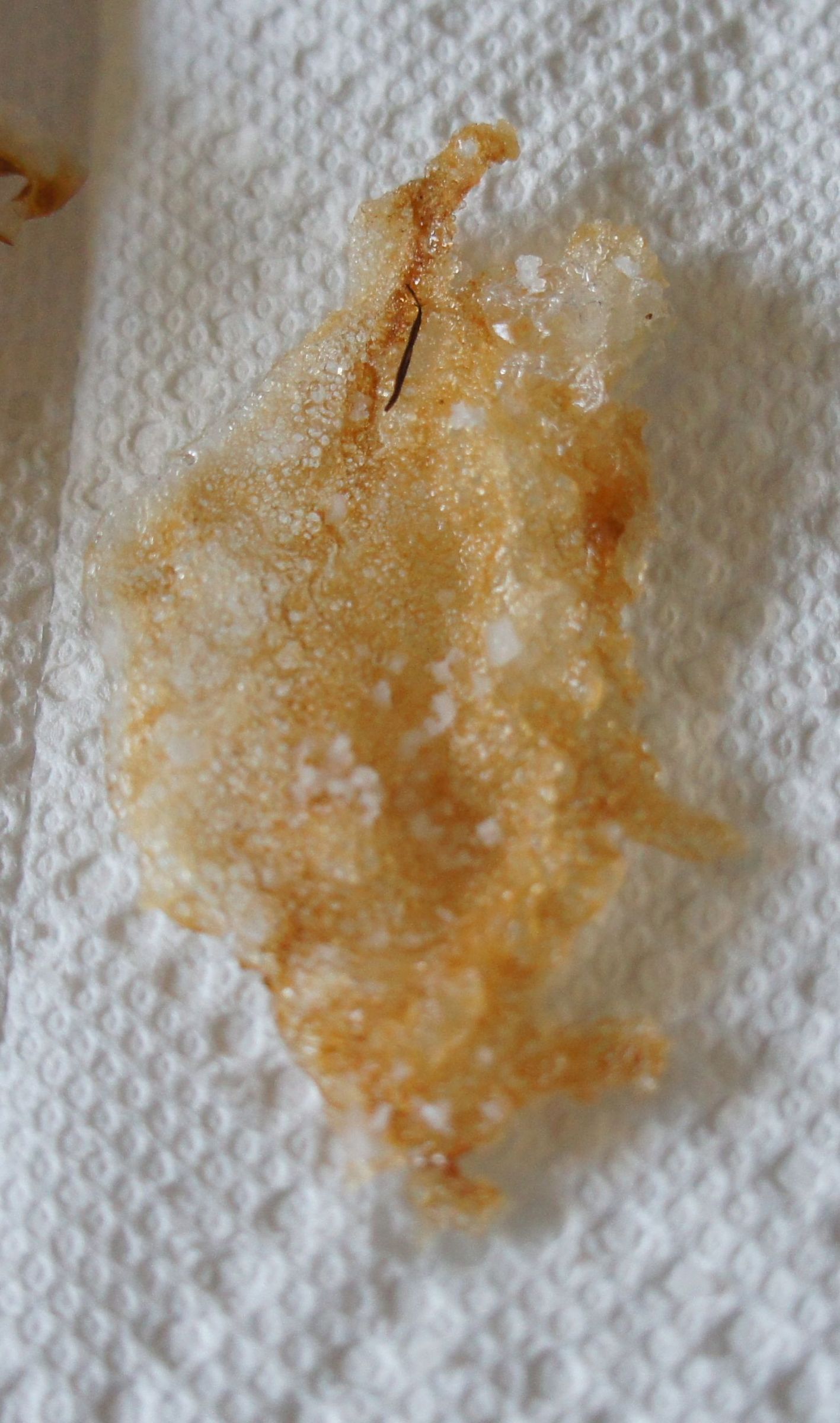 Glass Potato Chips : 8 Steps (with Pictures) - Instructables