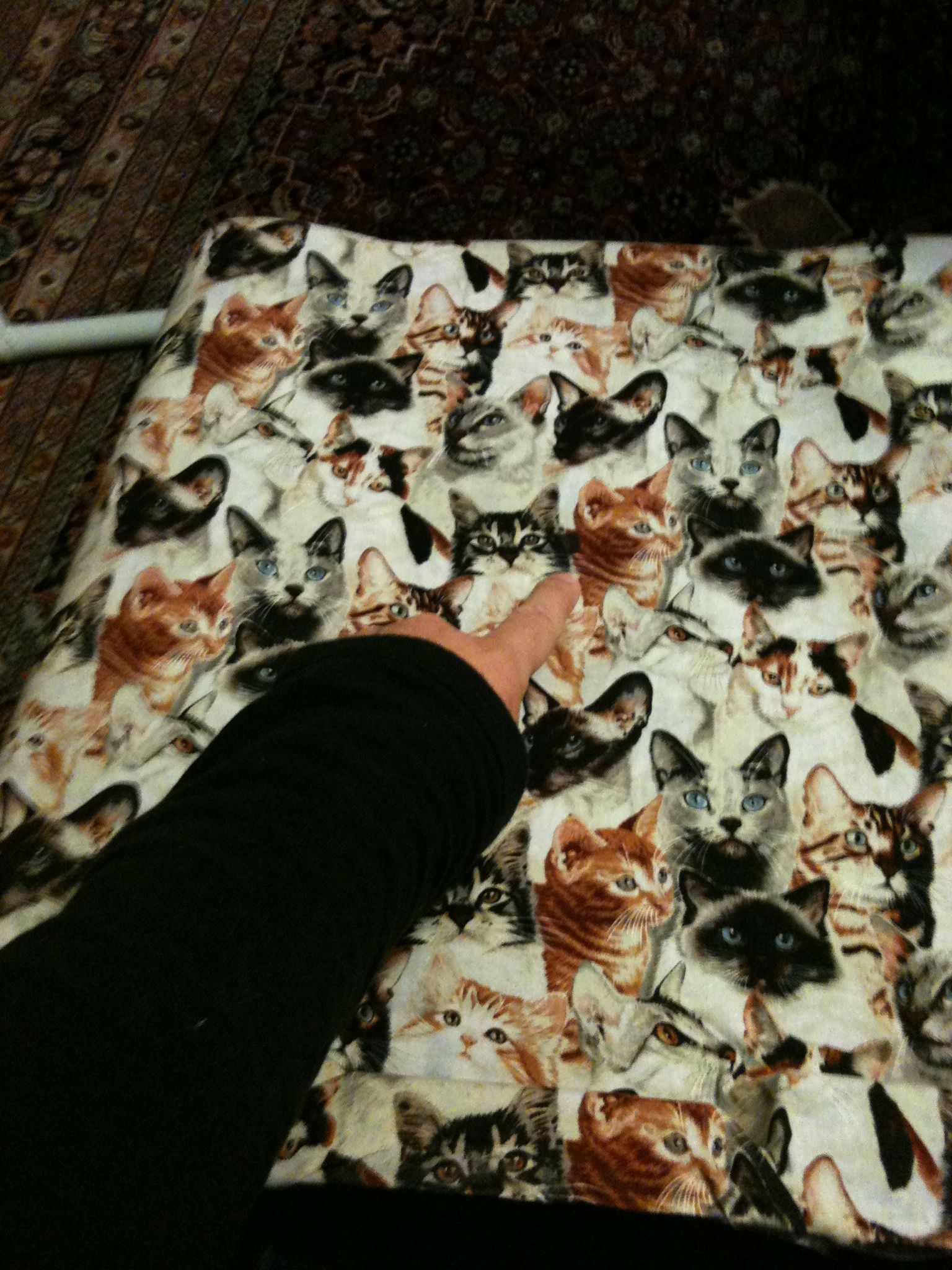Fun and Functional Cat Litter Box Cover : 7 Steps - Instructables