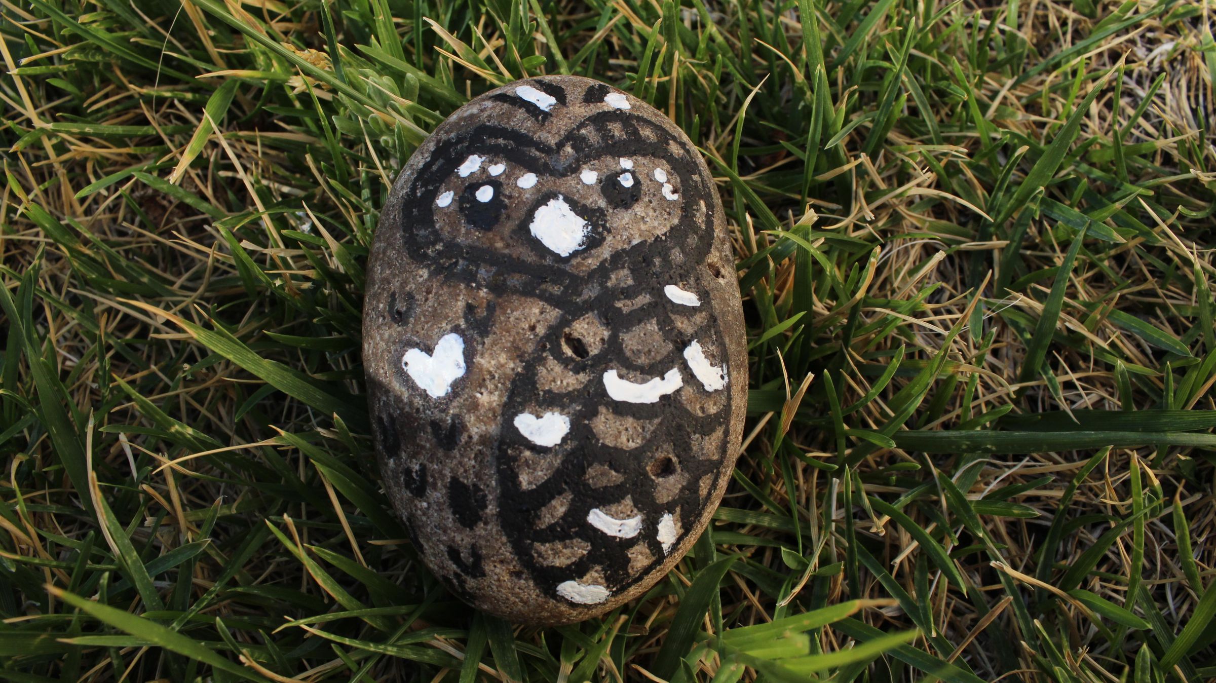 Owl Painted Garden Rocks : 6 Steps (with Pictures) - Instructables