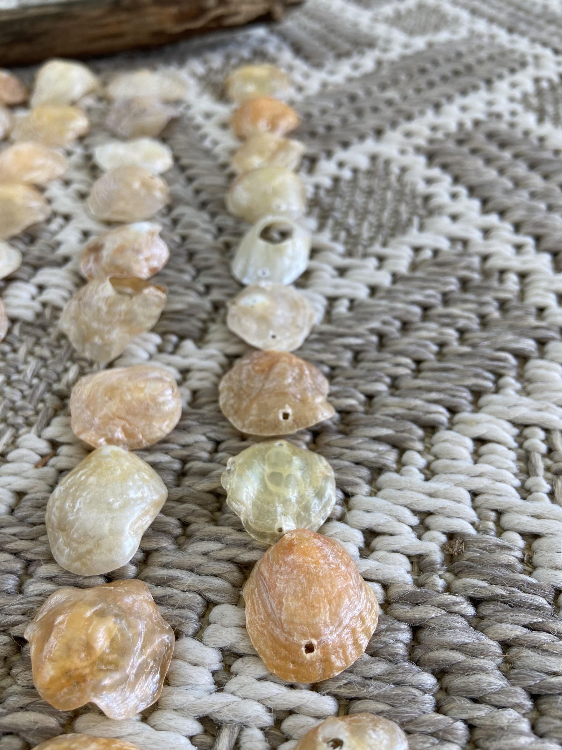 Seashell Wall Hanging : 6 Steps (with Pictures) - Instructables