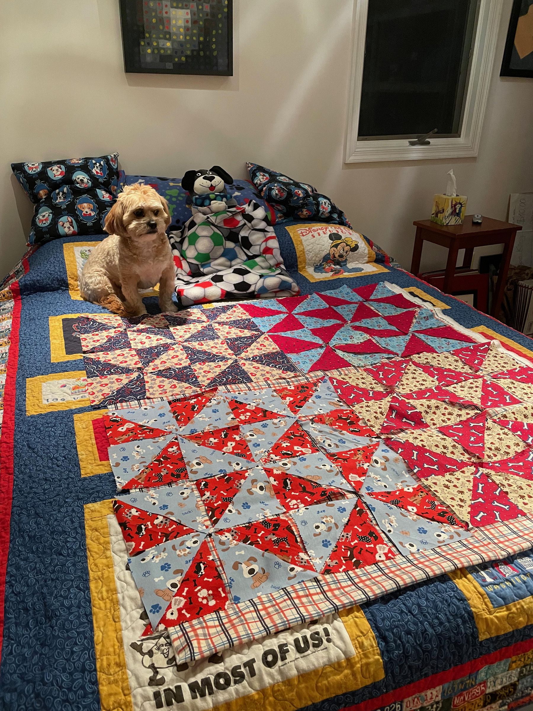 Dog Memory Quilt : 8 Steps (with Pictures) - Instructables