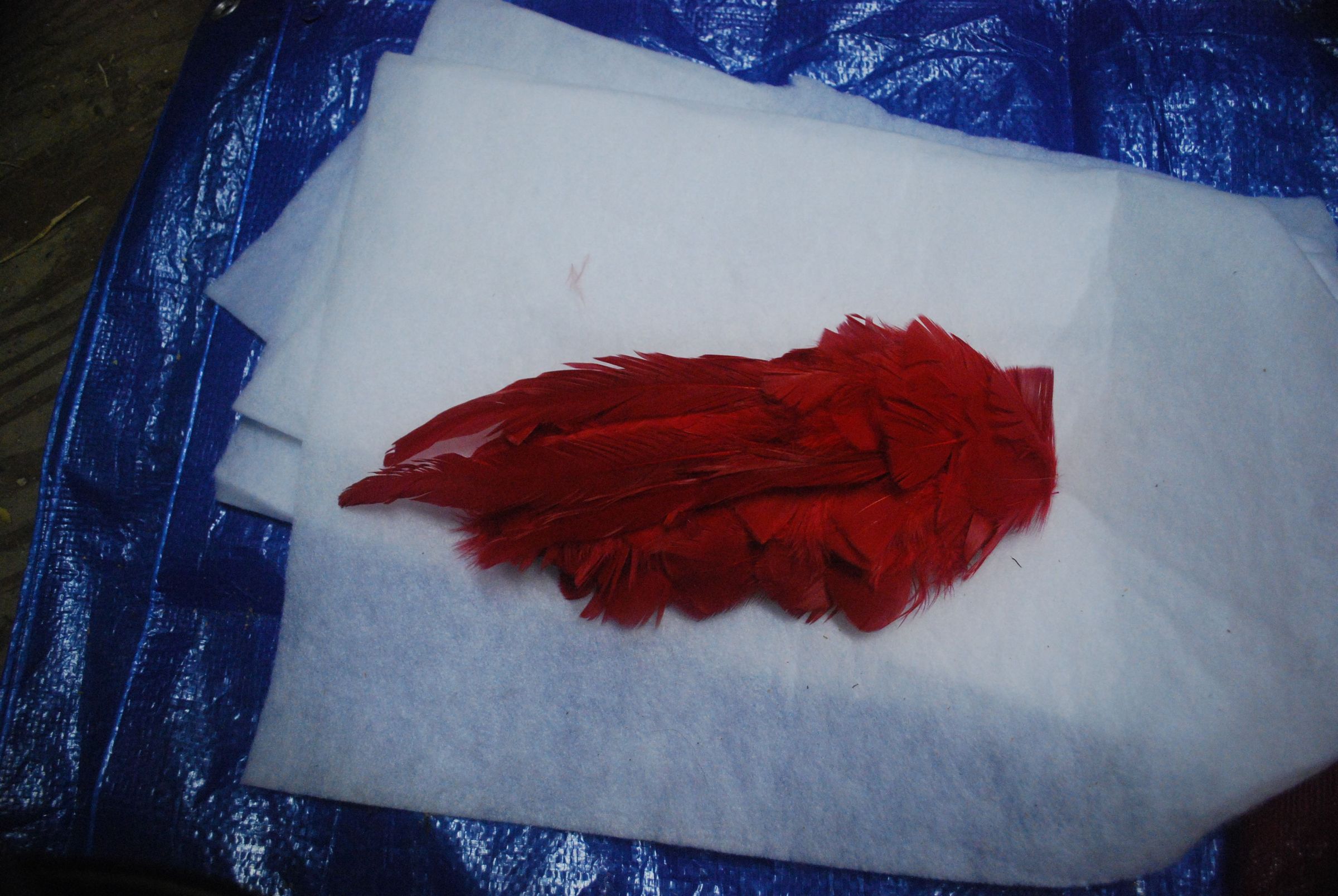 Animatronic Fawkes the Phoenix : 7 Steps - Instructables
