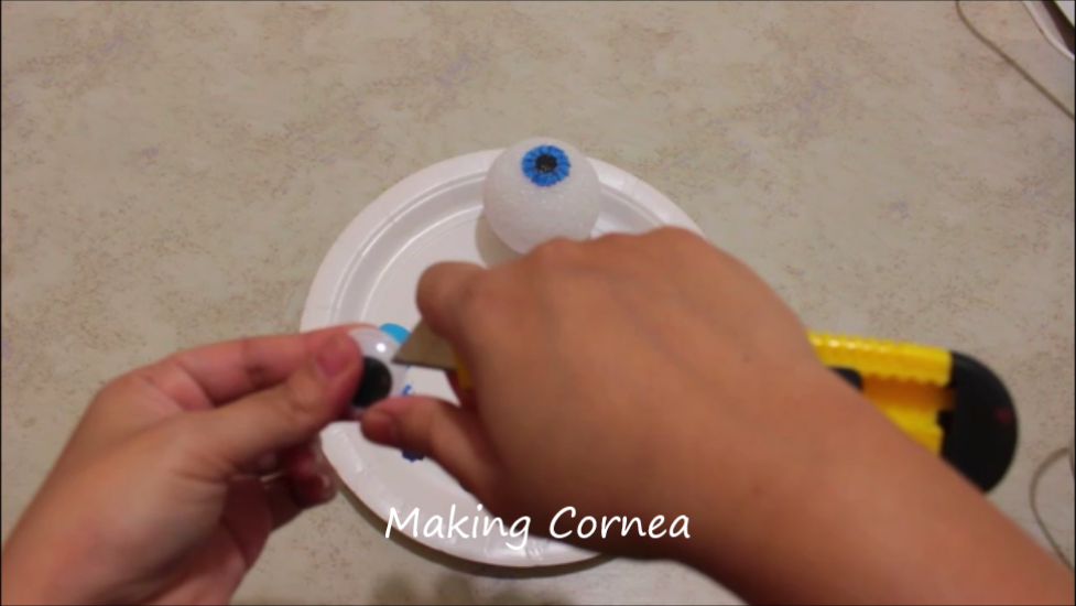 How to Make 3D Human Eye Model: Easy Way - Instructables