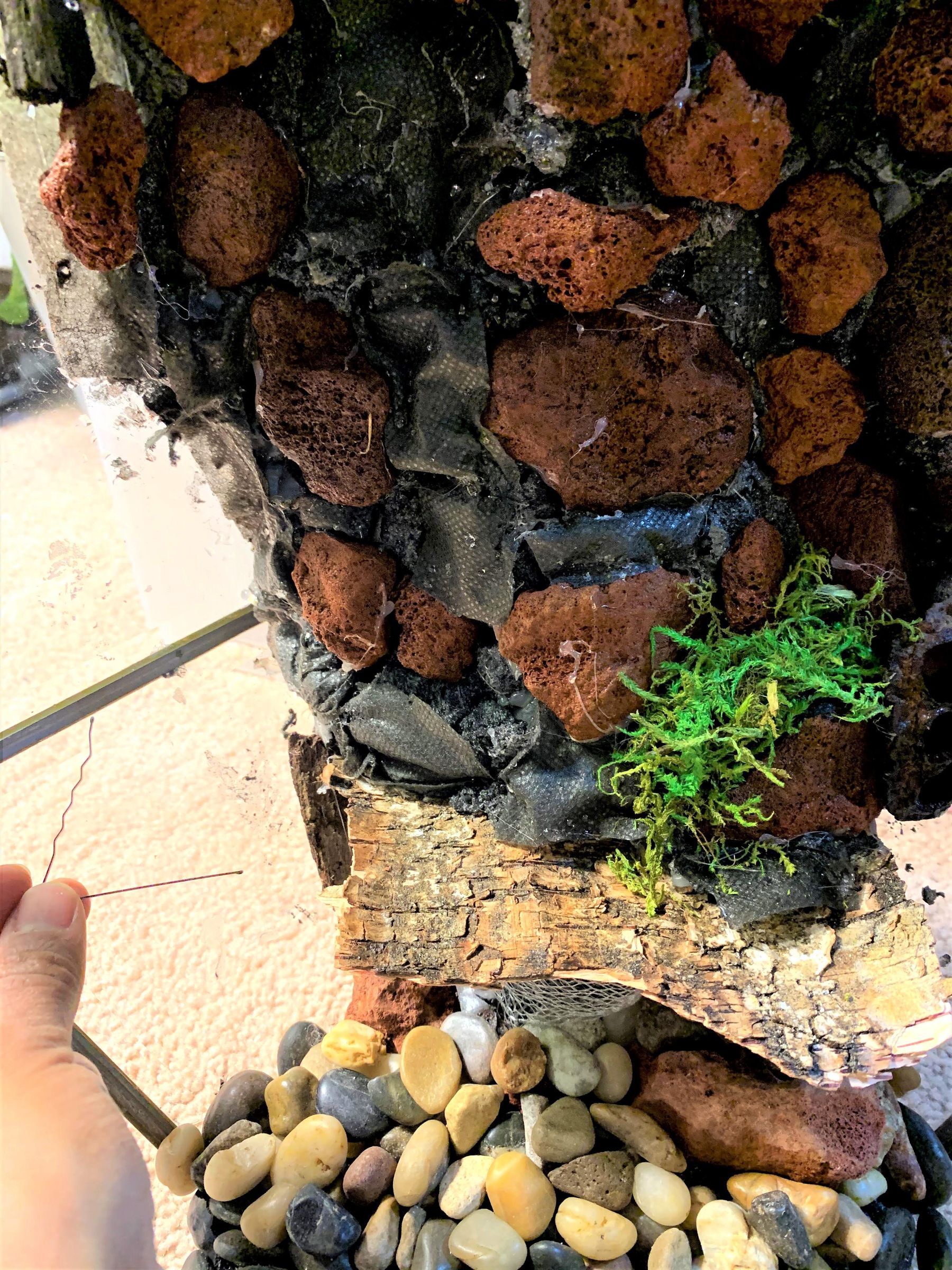 Repurposed Glass Chandelier Into Live Moss Drip Wall and Faux Terrarium ...