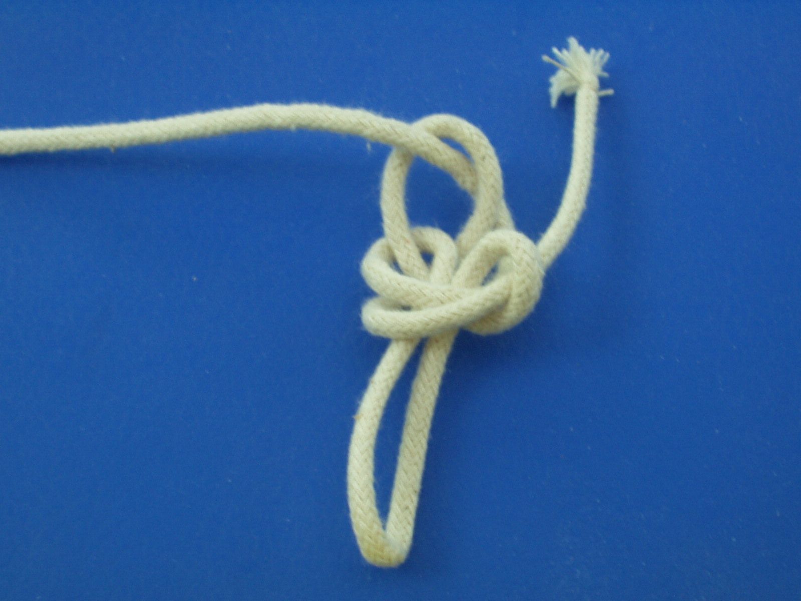 Two Strand Manrope Knot : 7 Steps - Instructables